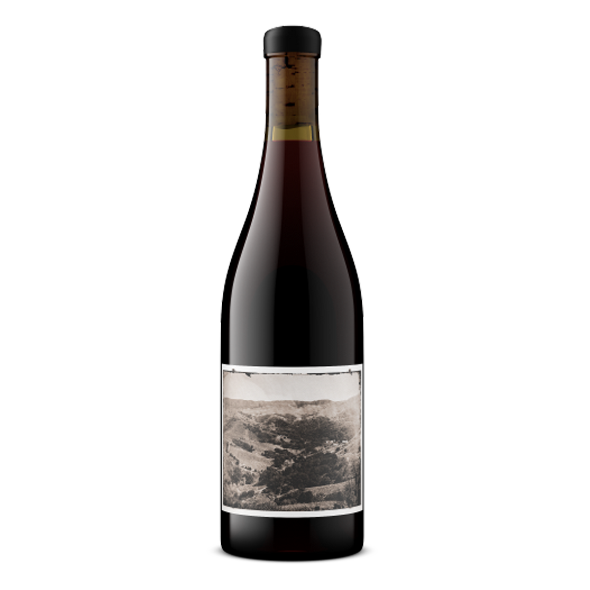 Sandhi White Buffalo Pinot Noir – Bootleggers Wines